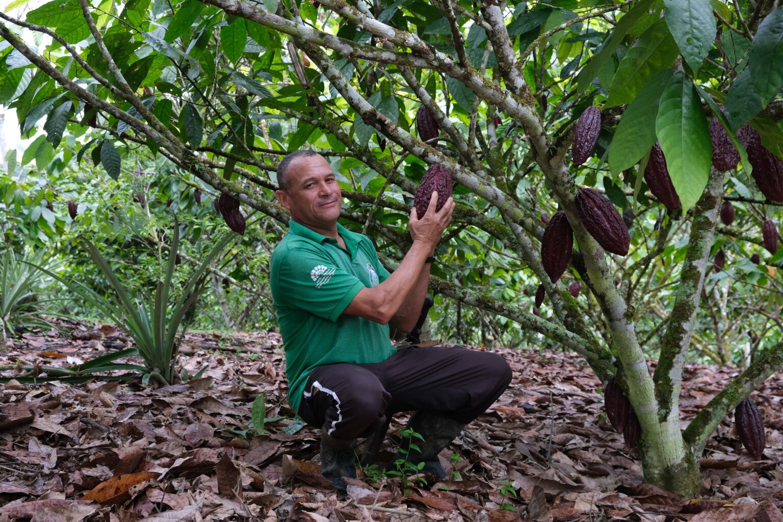 NatureCo and One Tree Planted partner with Nestlé on its Global ...